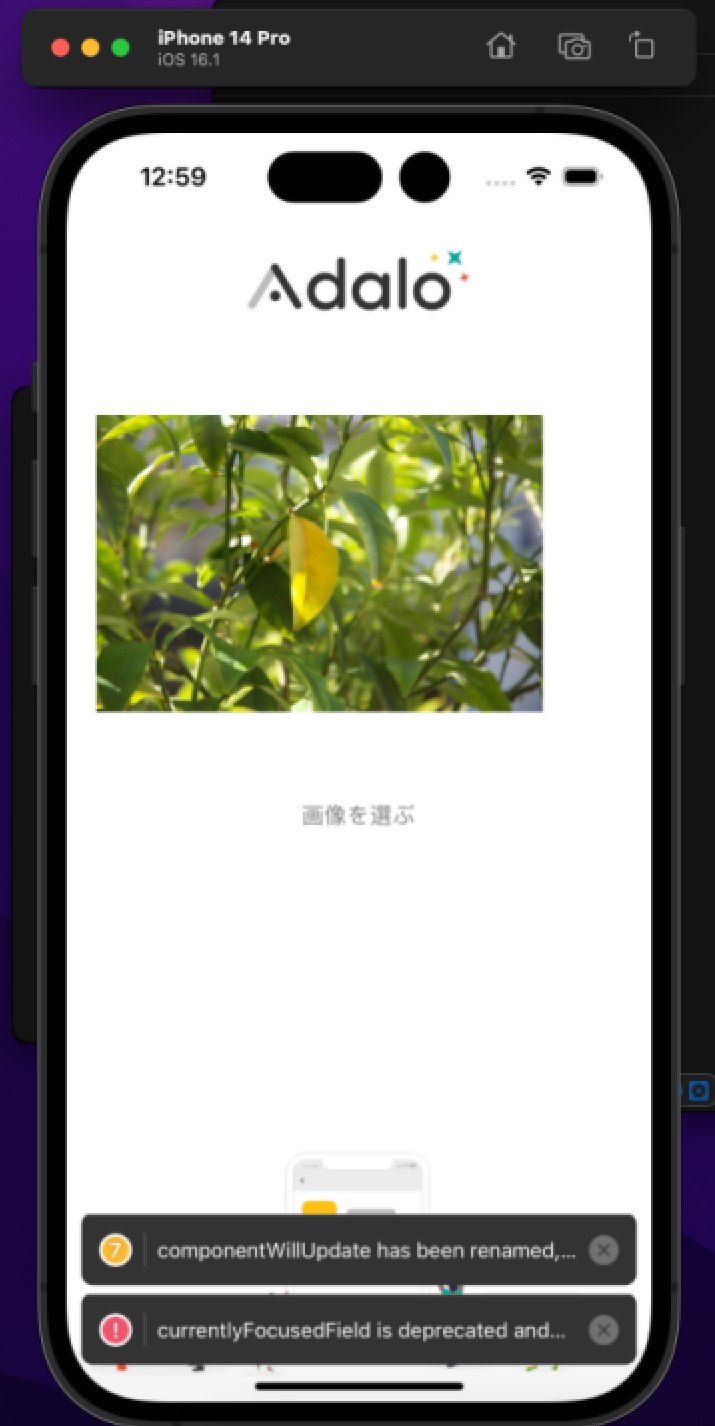 ReactNative＋react-native-image-crop-pickerでローカル画像を表示 - Lethediana Tech